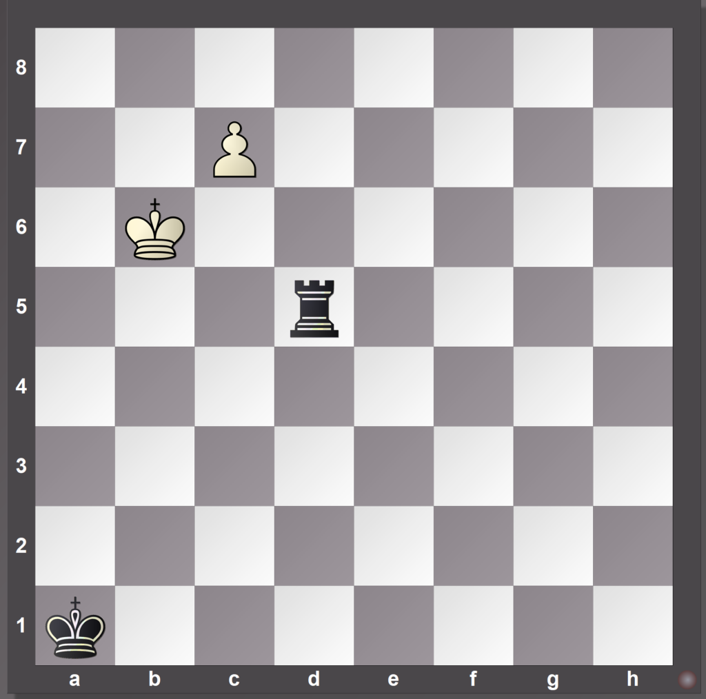 optimal decision making in chess – part 5 – Rebel Quokka